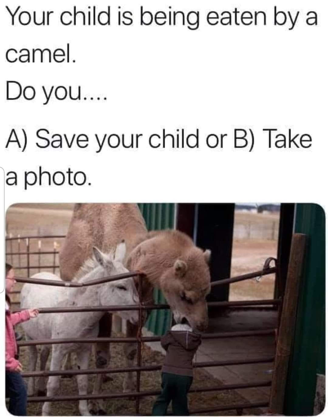Save Your Child or Take A Photo - PYGear.com