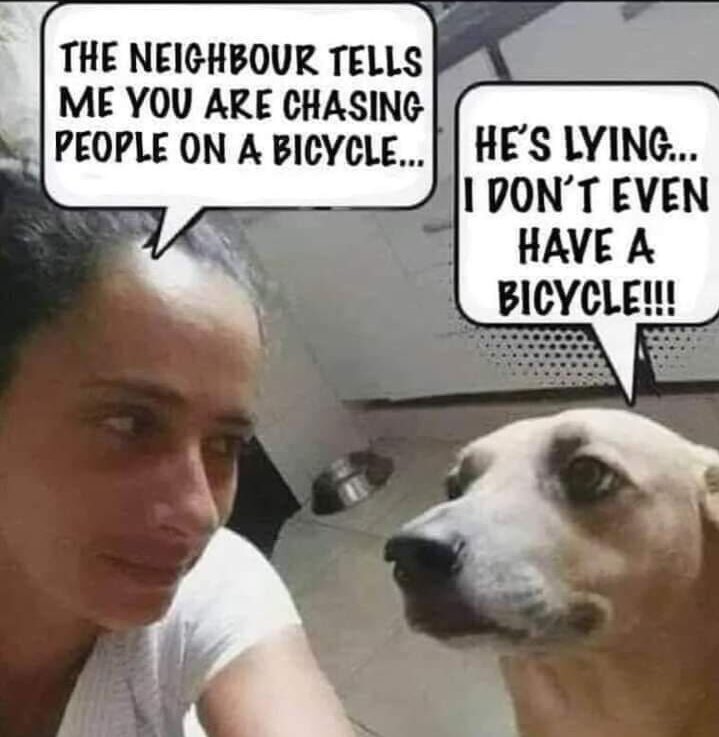 🐕 Dog Chasing People On A Bicycle 🚲 - PYGear.com