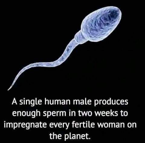 Impregnate Every Woman On The Planet - PYGear.com