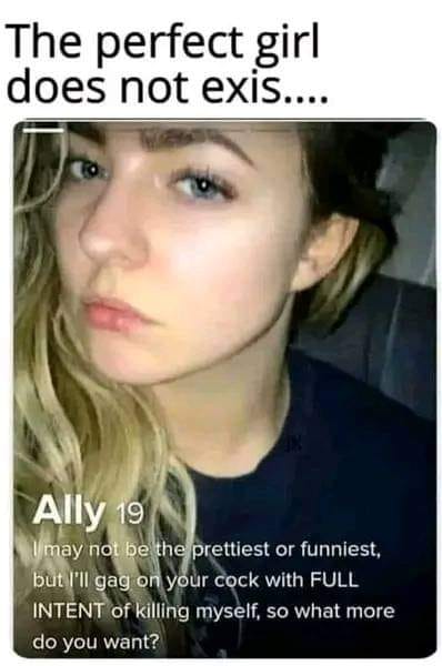 The Perfect Girl Does Not Exis.... - PYGear.com