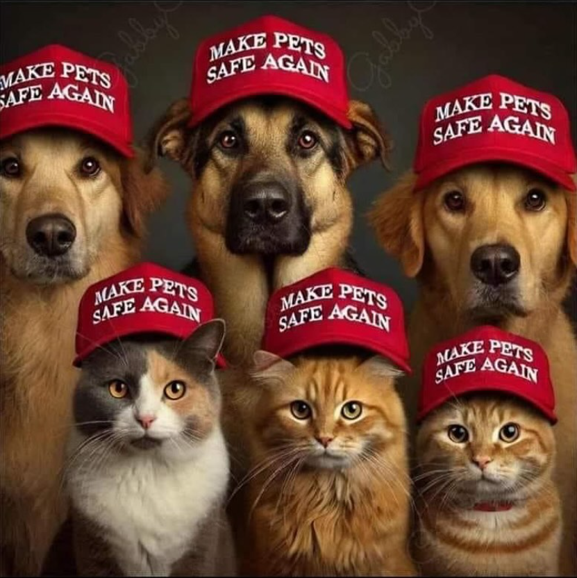 Make Pets Safe Again dogs cats hats - PYGear.com